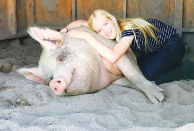 Student activists fear that LA Unified’s vegan pilot program may just ...