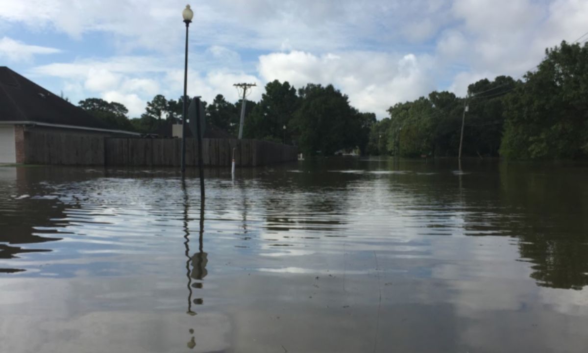 My High School Experience with a Natural Disaster | LA School Report