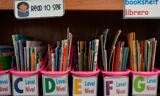 Businesses Want Bilingual Workers, Families Want Bilingual Kids, So Why ...